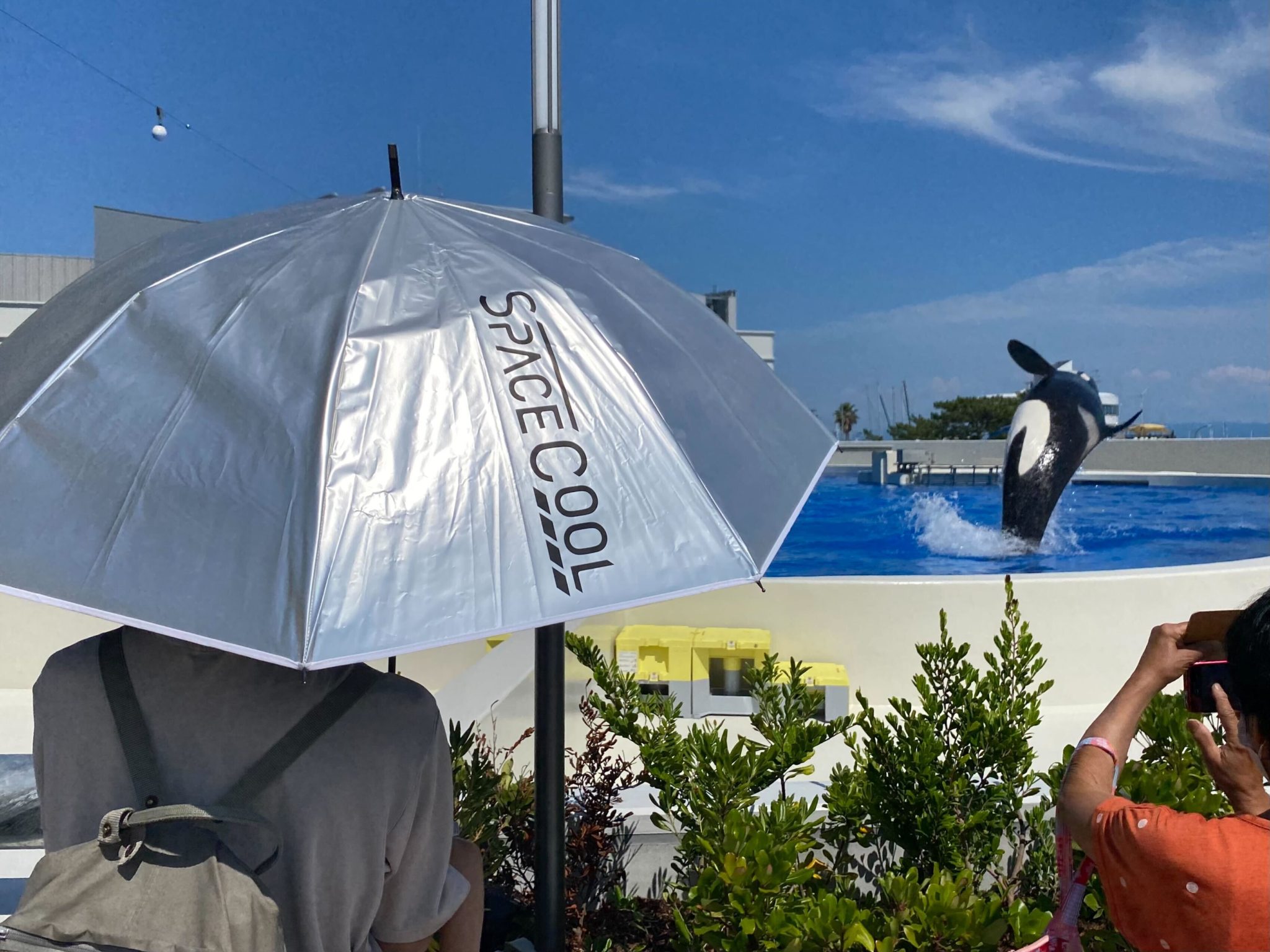 こんなところにSPACECOOL＃1（神戸須磨シ―ワールド） | SPACECOOL株式会社（スペースクール）